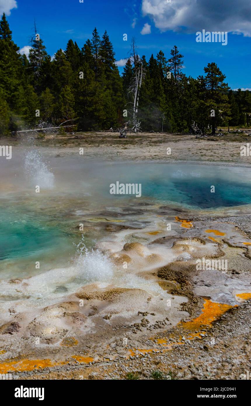 Boiling water bubbler Geyser. Active geyser with major eruptions ...