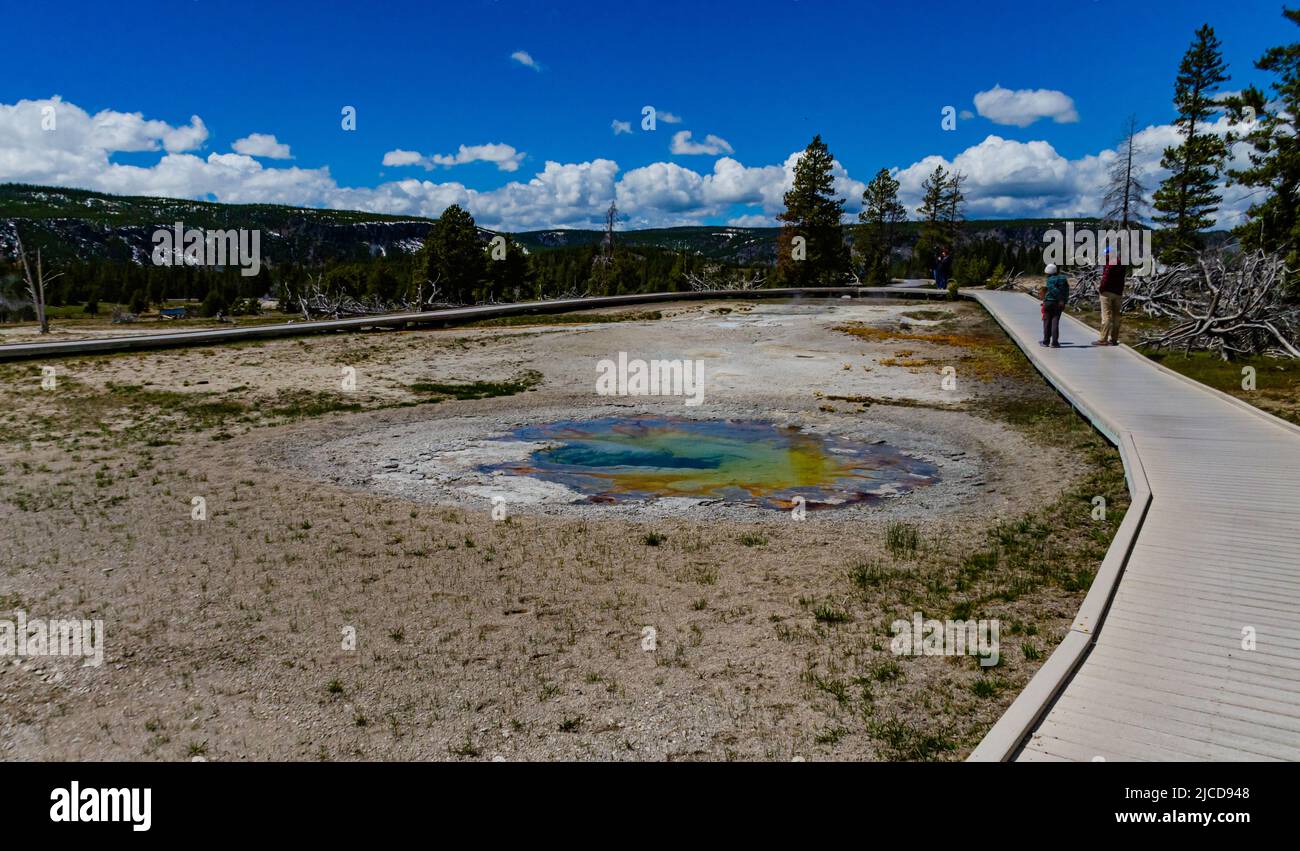 Boiling water bubbler Geyser. Active geyser with major eruptions ...