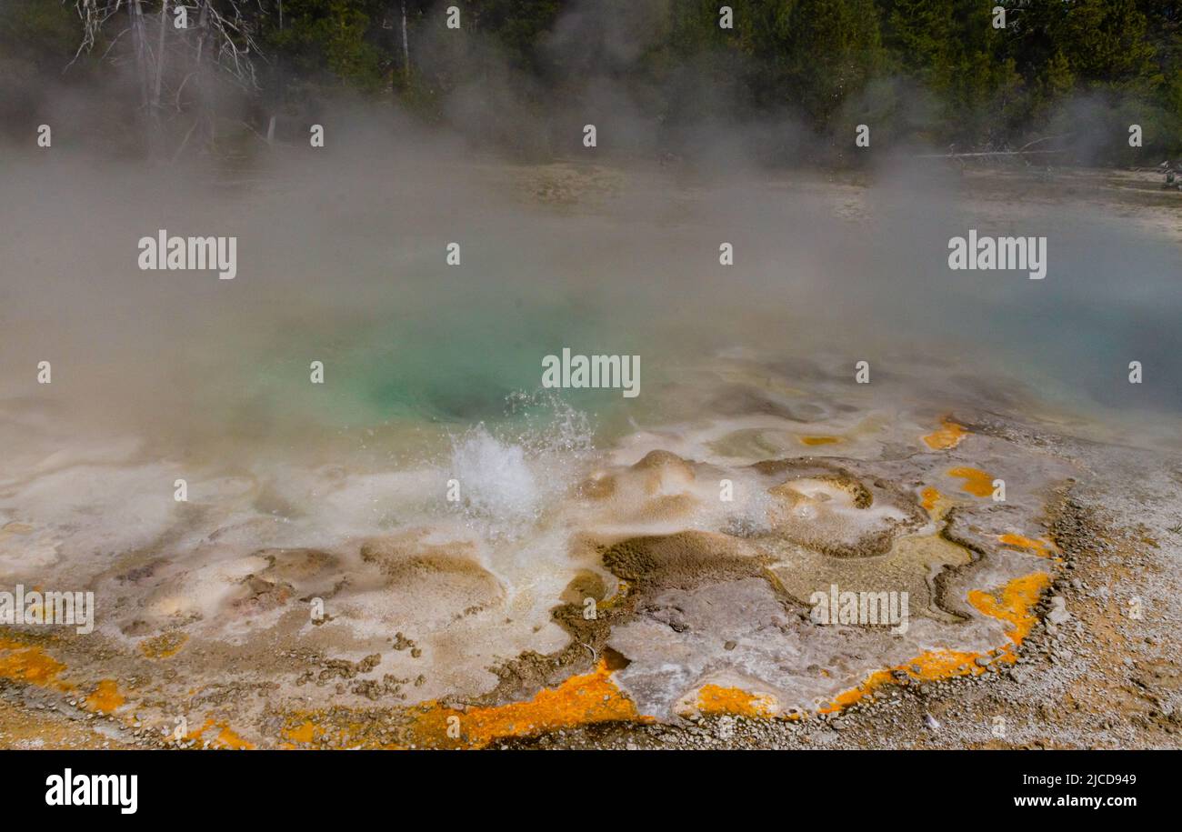 Boiling water bubbler Geyser. Active geyser with major eruptions ...