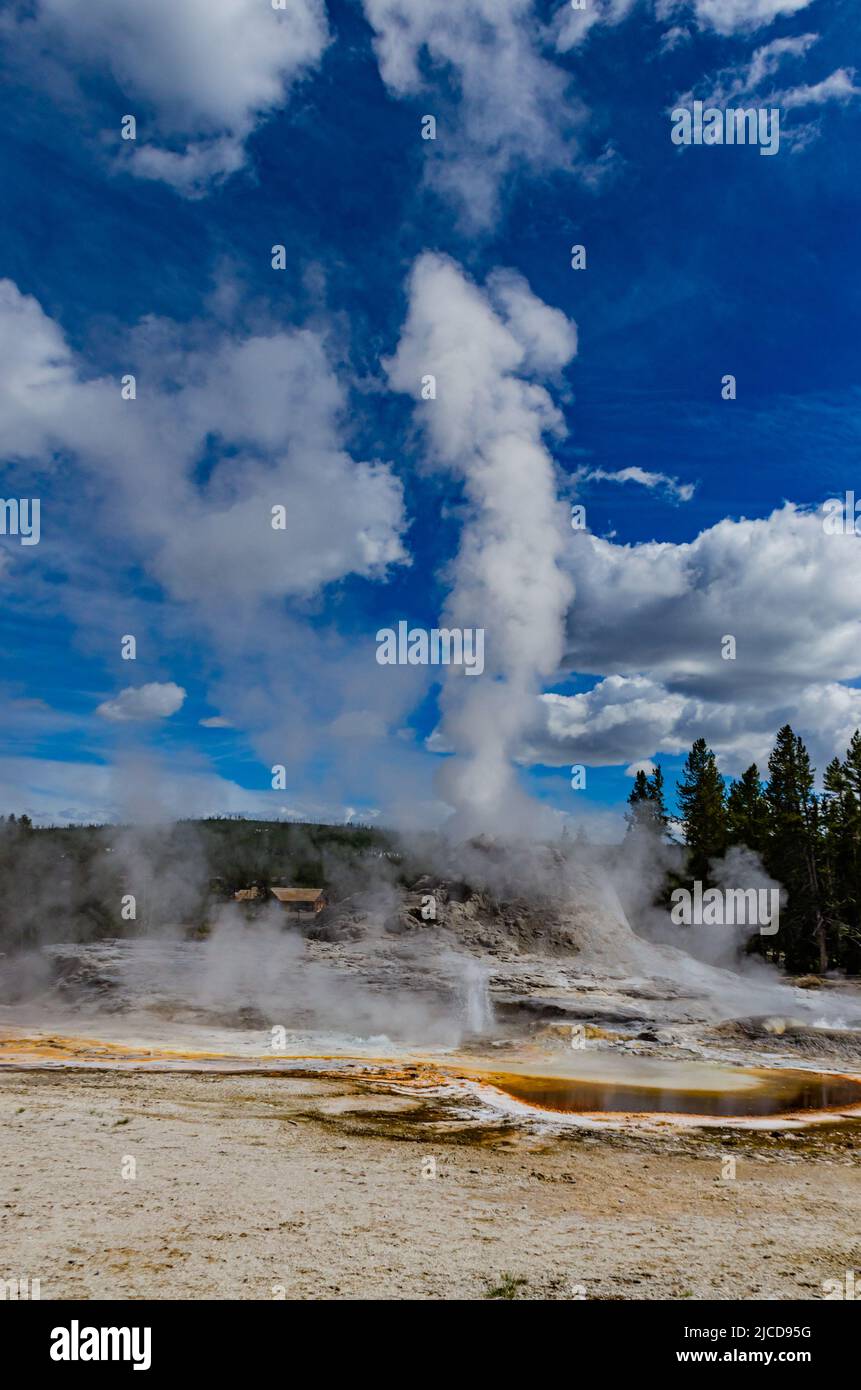Boiling water bubbler Geyser. Active geyser with major eruptions ...