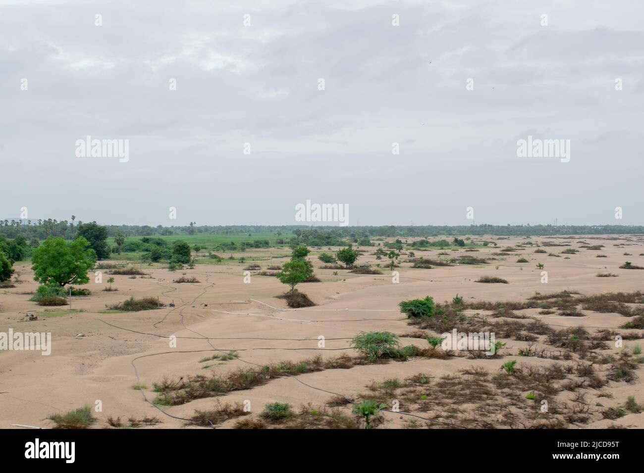 Sand ground in the middle pf grass lawn.View from Indian landscape ...