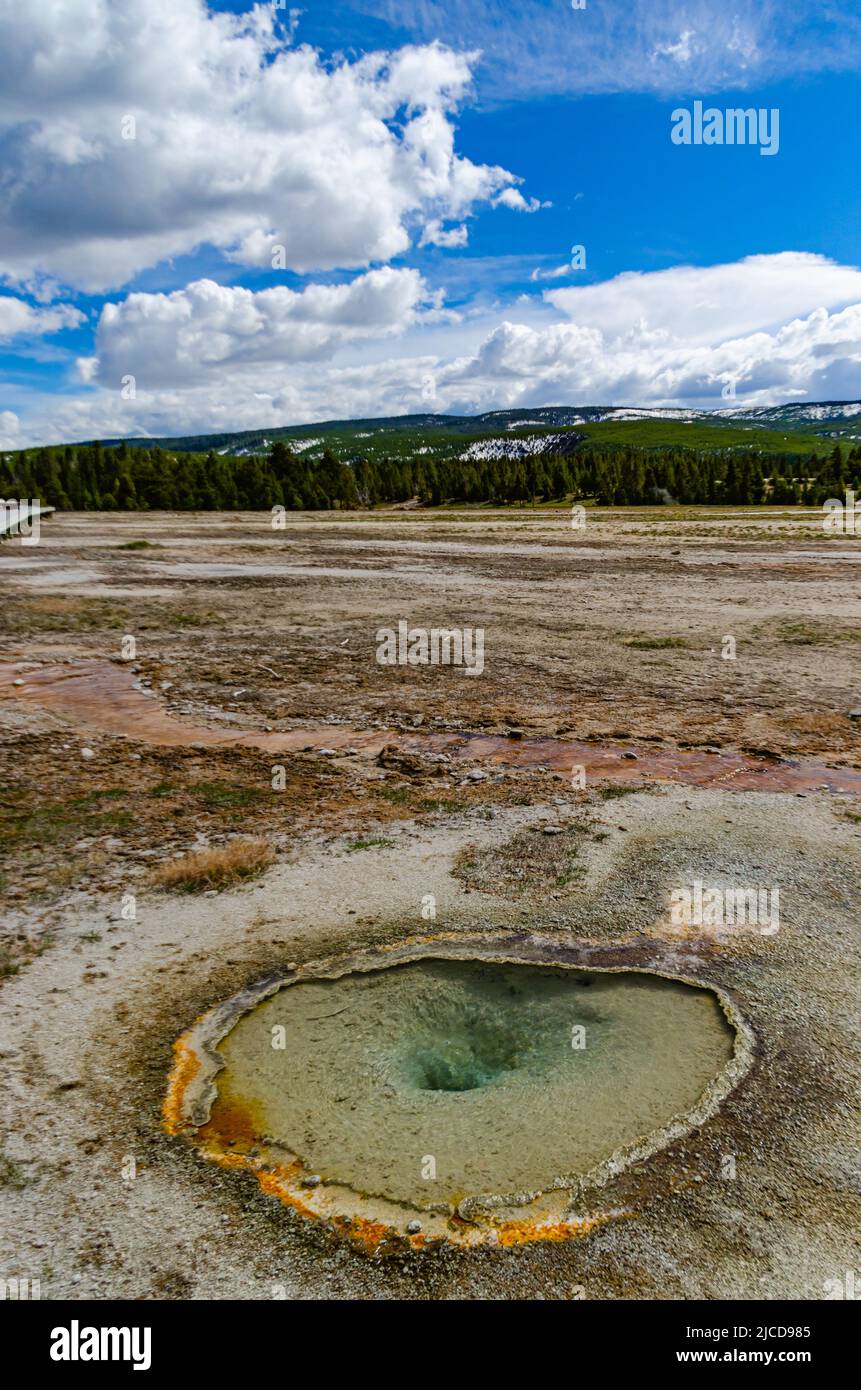 Boiling water bubbler Geyser. Active geyser with major eruptions ...