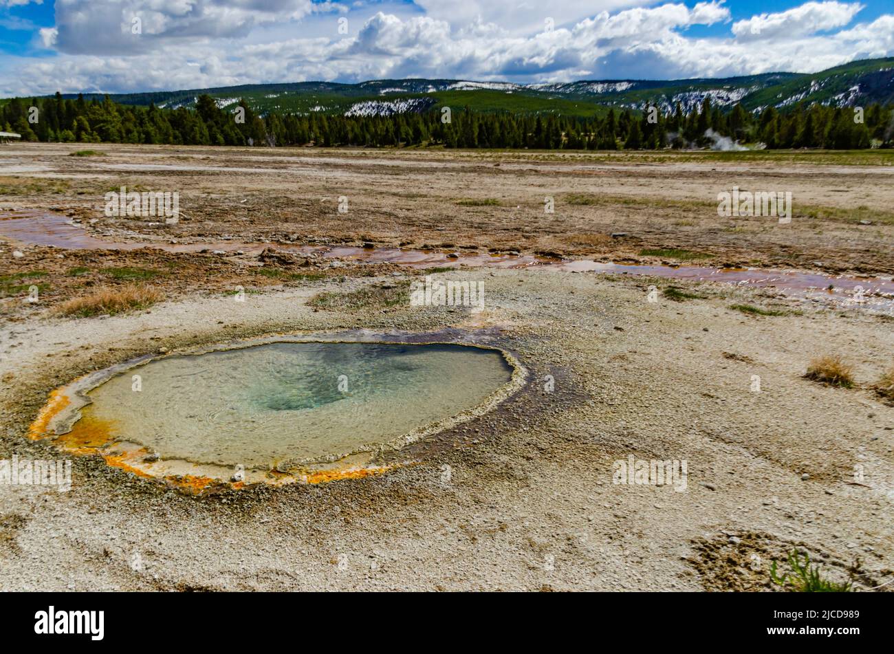 Boiling water bubbler Geyser. Active geyser with major eruptions ...