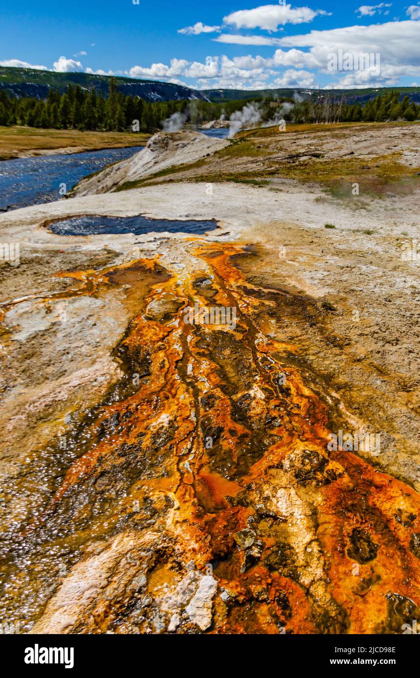 Algae-bacterial mats. Hot thermal spring, hot pool in the Yellowstone ...