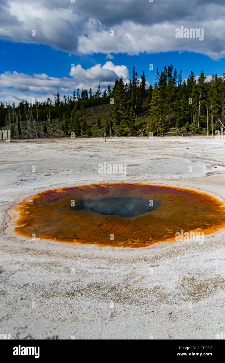 Boiling water bubbler Geyser. Active geyser with major eruptions ...