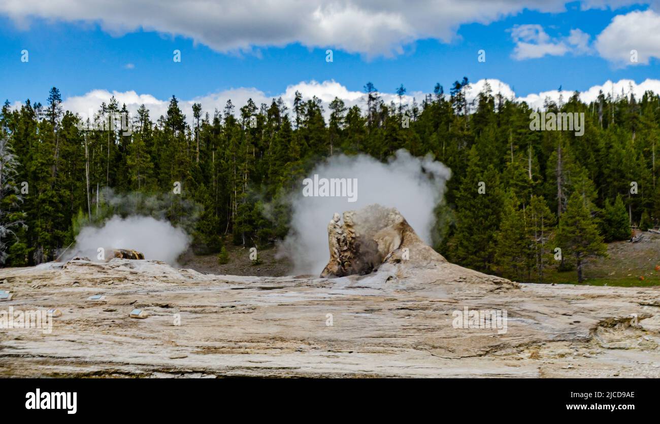Boiling water bubbler Geyser. Active geyser with major eruptions ...