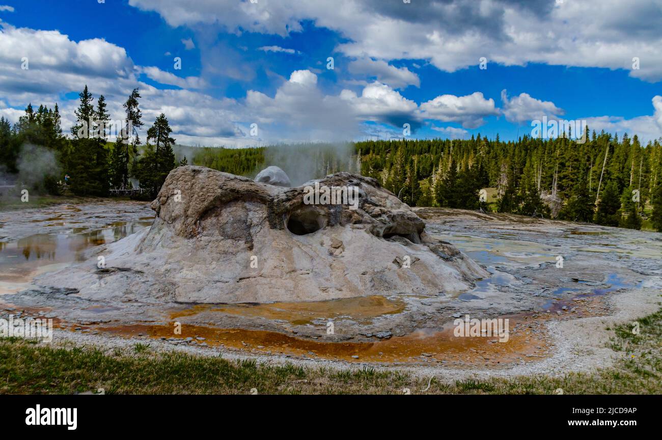 Boiling water bubbler Geyser. Active geyser with major eruptions ...