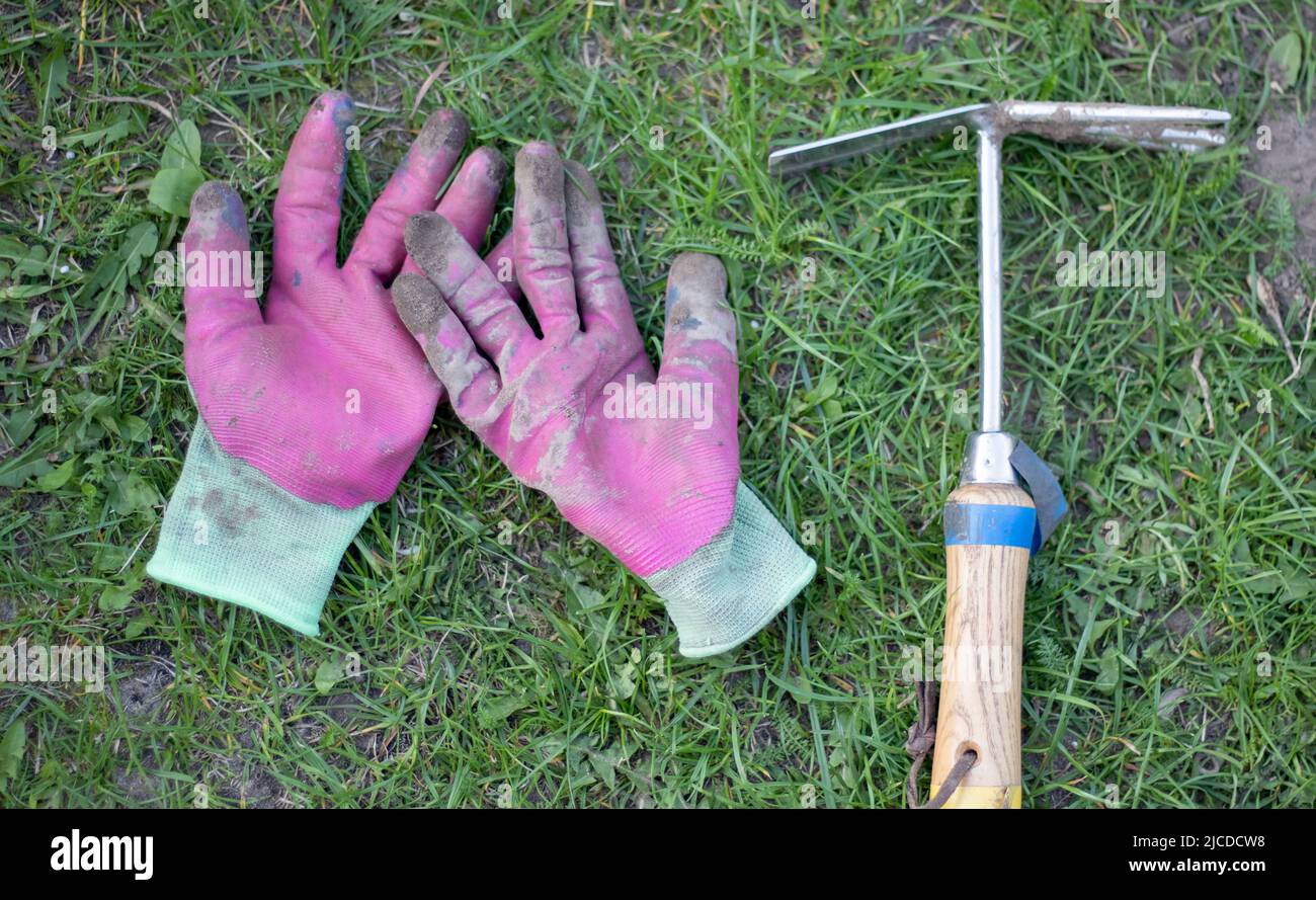 Garden tools, small rakes and pink gloves on the ground and green grass ...