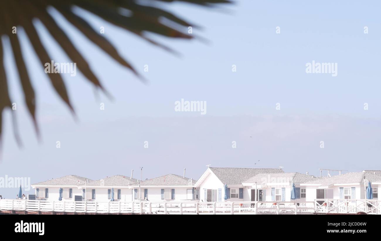 Palm tree and wooden Crystal pier with cottages, California ocean beach ...