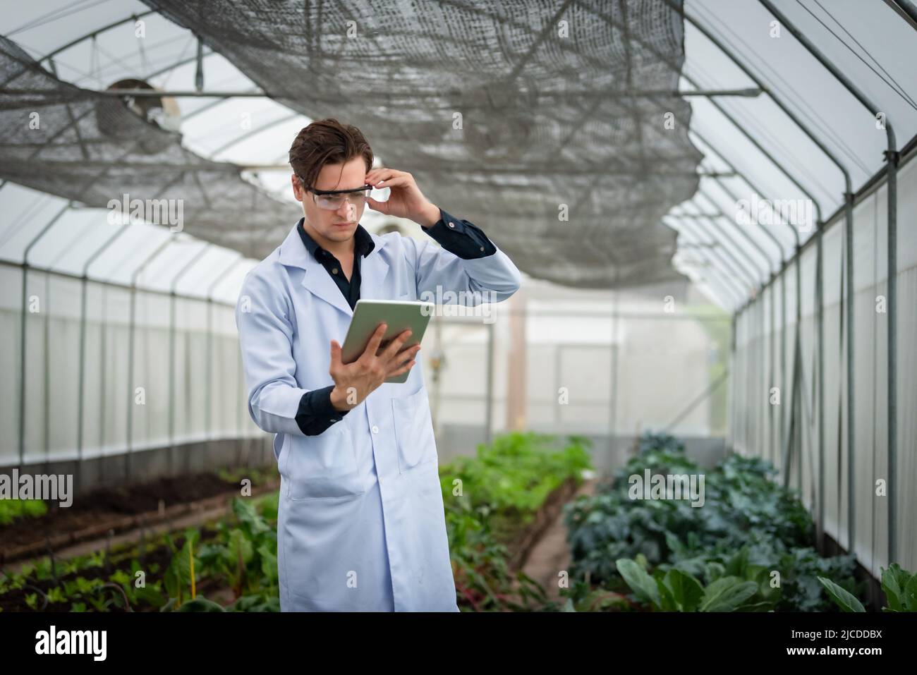 Portrait of handsome agricultural researcher holding tablet while ...