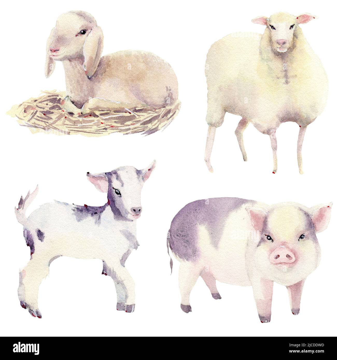Watercolor farm animals and birds illustration Stock Photo - Alamy