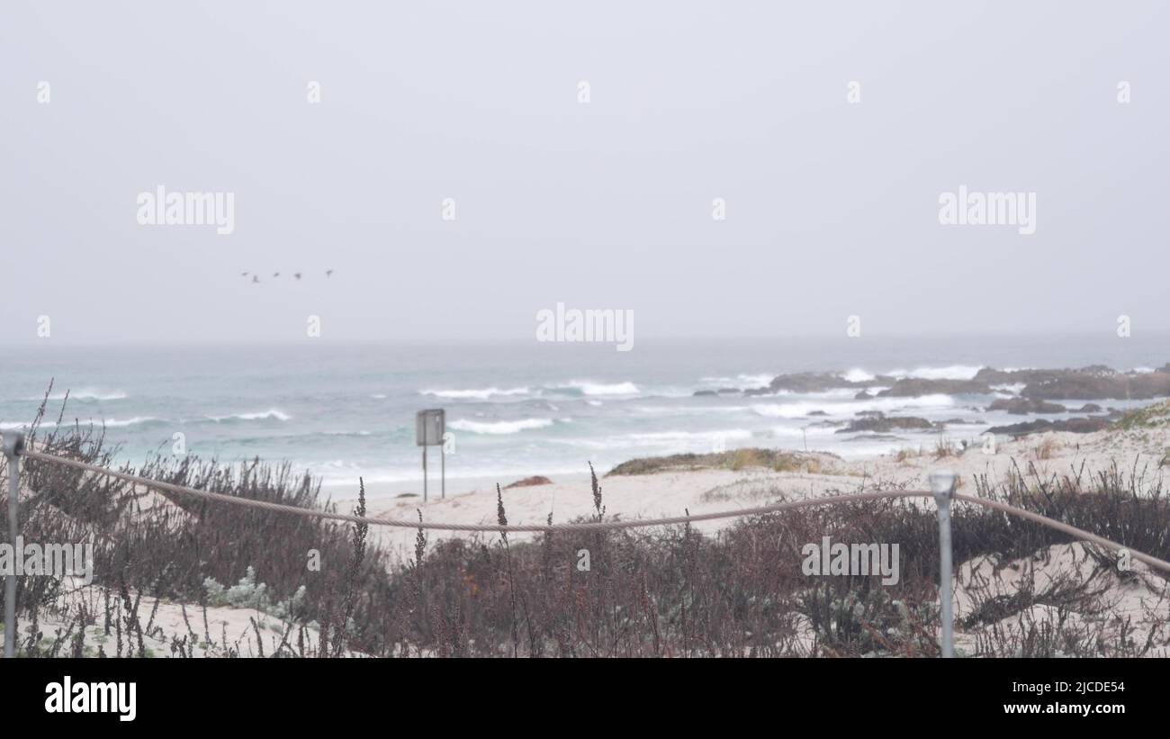 Monterey beach footpath california hi-res stock photography and images ...