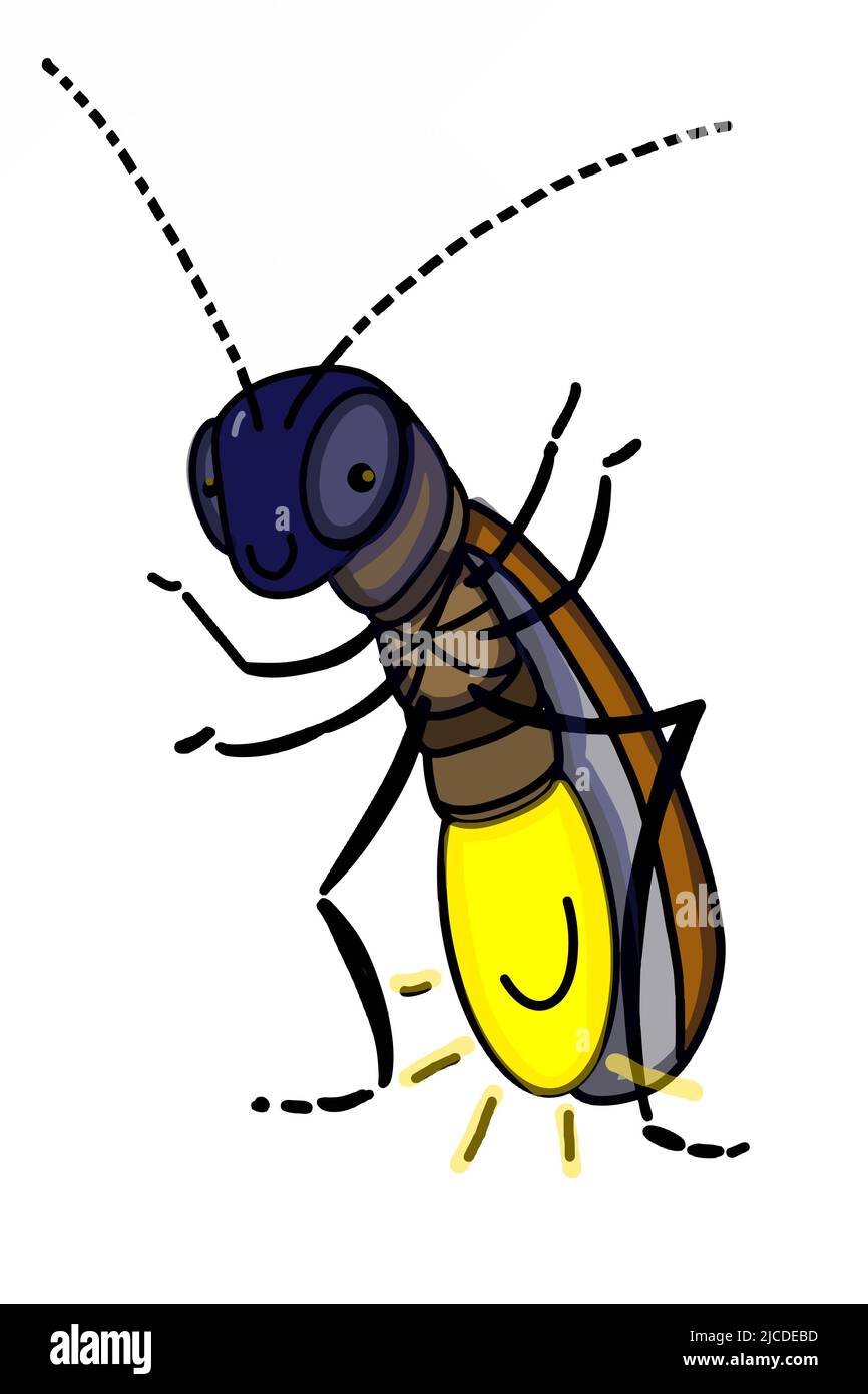 cute cartoon mascot firefly-stella illustration drawing,coloring Stock ...