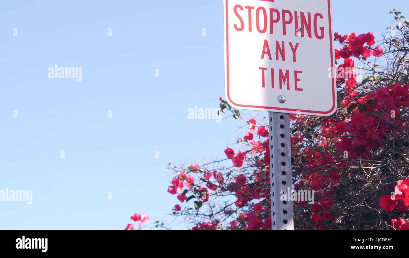 No stopping any time road sign on roadside, California city street, USA ...