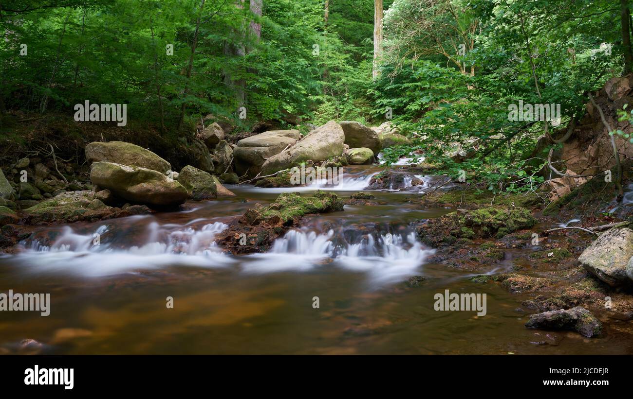 the river Ilse at Ilsenburg at the foot of the Brocken in the Harz ...