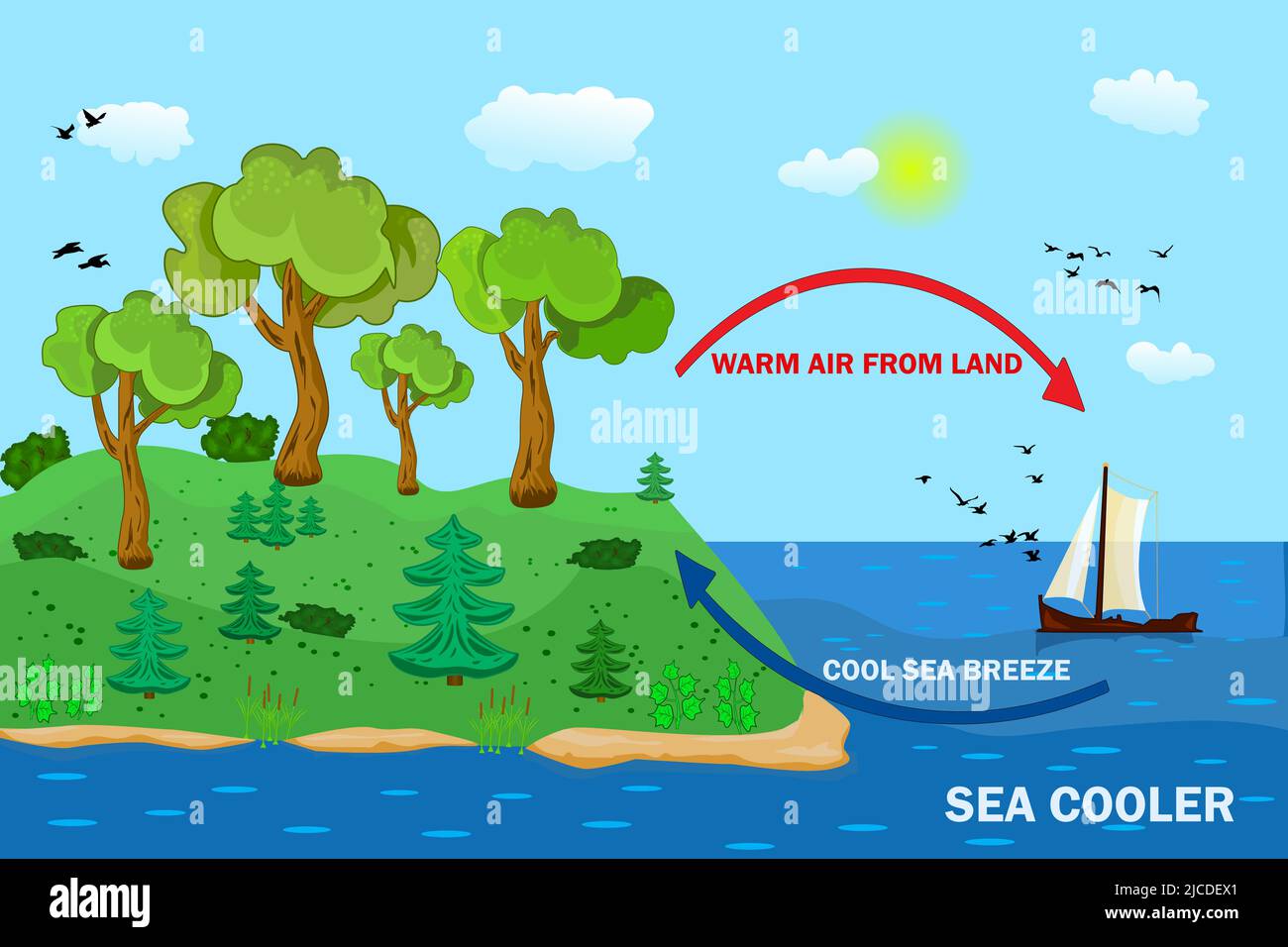 Science poster design for sea and land breeze. Shore wind scheme. Air ...