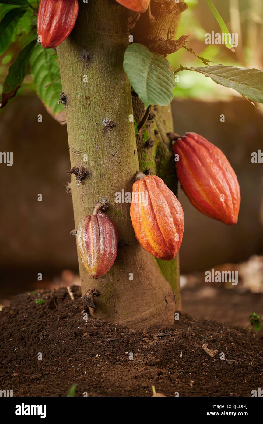 Ground pod hi-res stock photography and images - Alamy