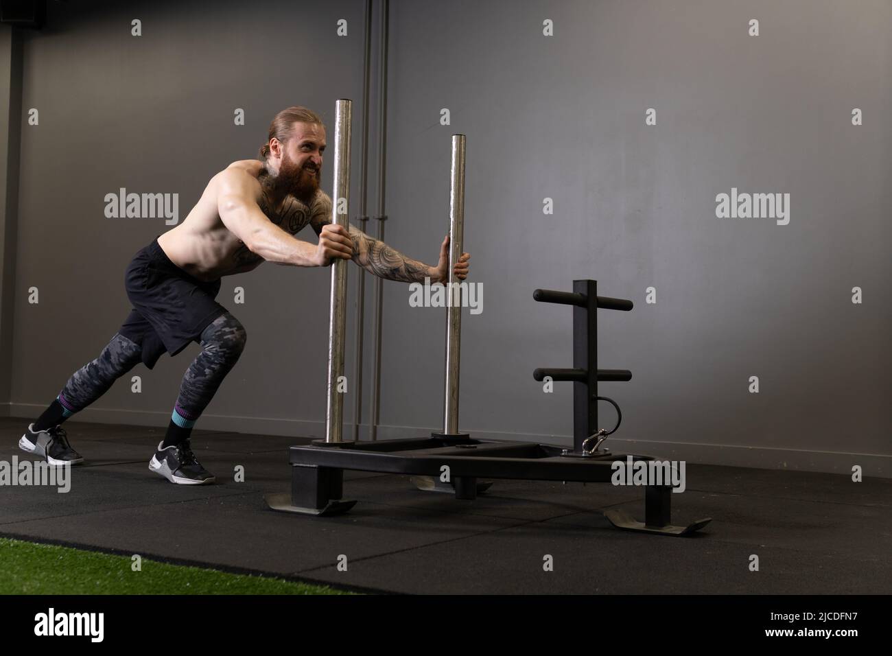 Tattoo adult athlete beard sleigh push athletic attractive body ...