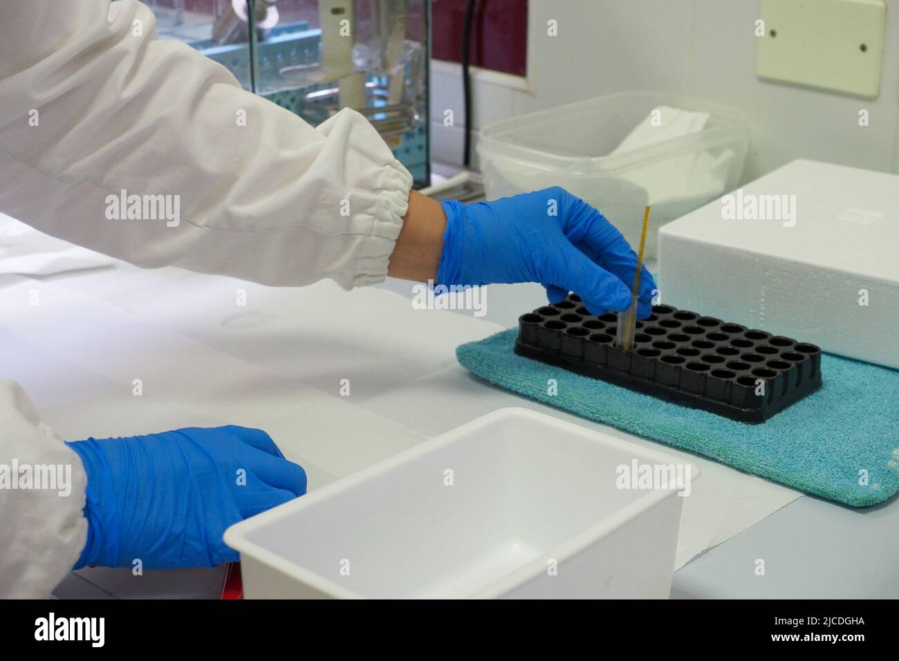 researcher wearing security gloves at the lab Stock Photo - Alamy