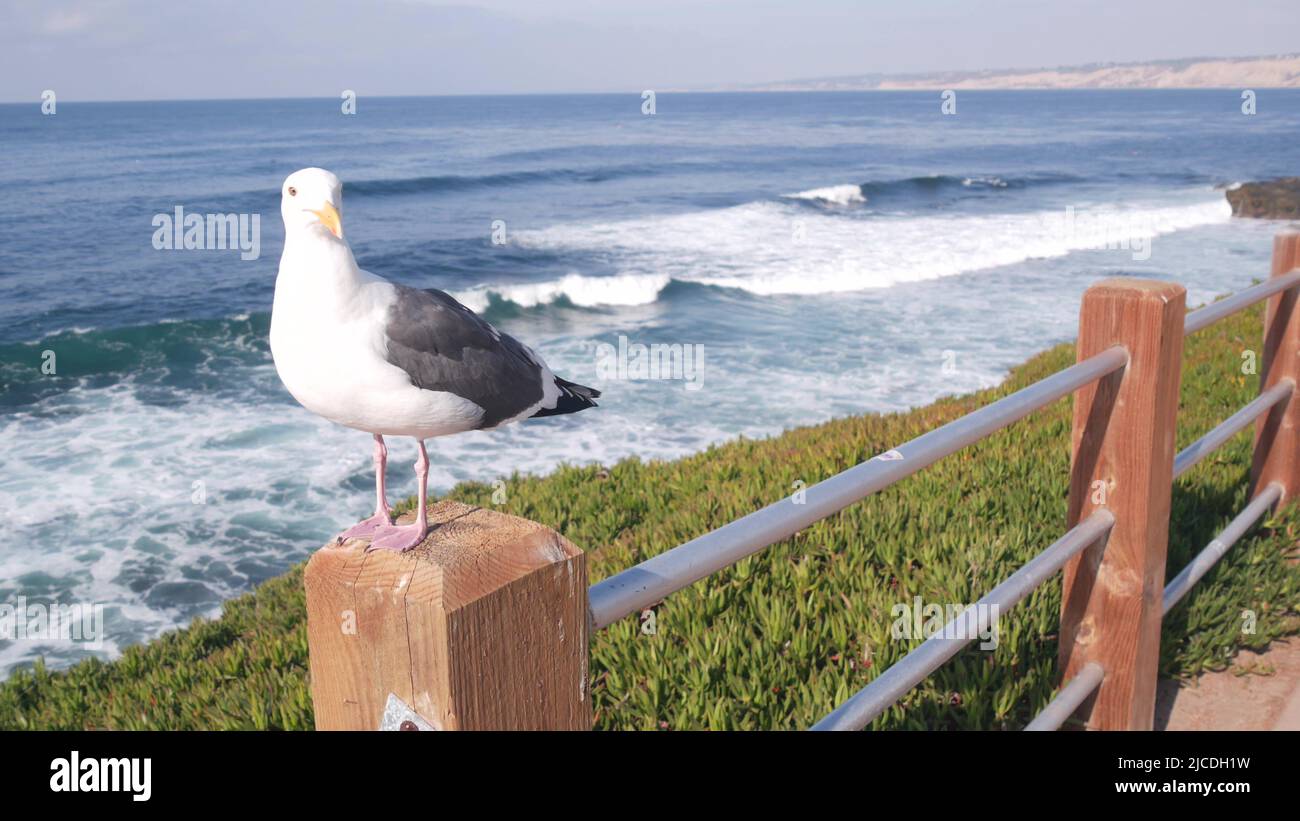 Ocean waves crashing on beach, sea water surface from above, cliff or ...