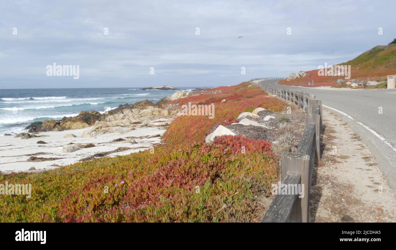 17-mile drive scenic road, Monterey California USA. Trip along ocean ...