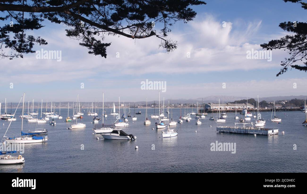 Yachts in harbor or bay, Monterey marina by Old Fishermans Wharf, quay ...