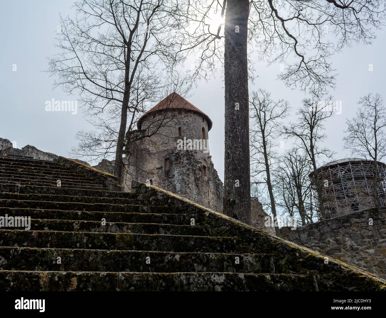 Ruins and wide stone stairs of medieval castle in Cesis, Latvia Stock ...