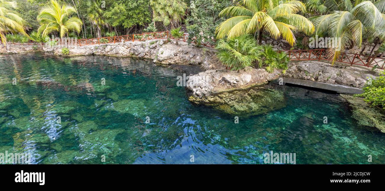 Mexico tourism destination, caves and pools of Cenote Casa Tortuga near ...