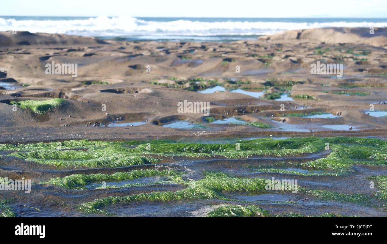 Eroded rock formation, tide pool in La Jolla, California coast, USA ...