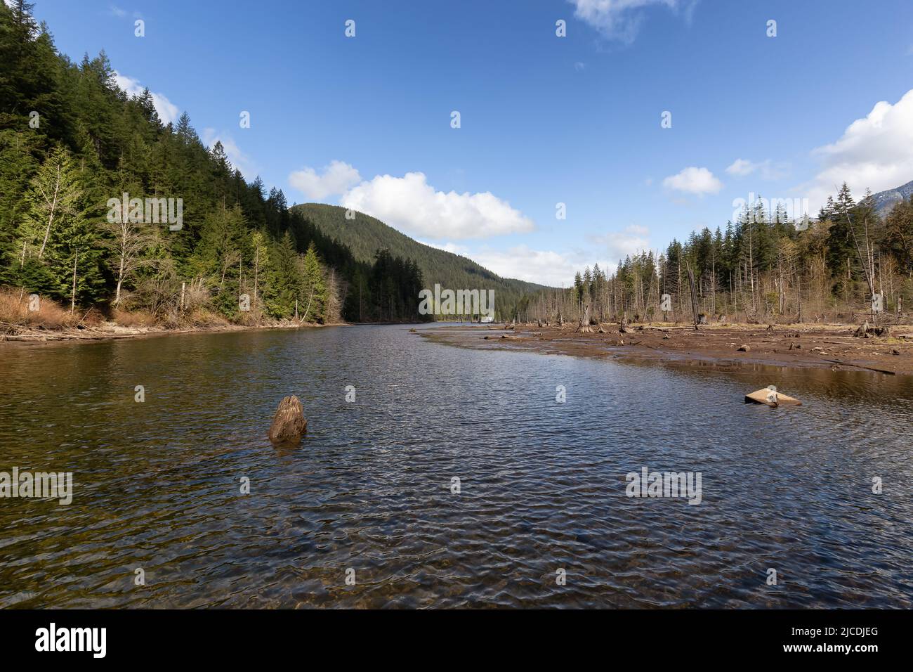 Canadian swamp hi-res stock photography and images - Alamy