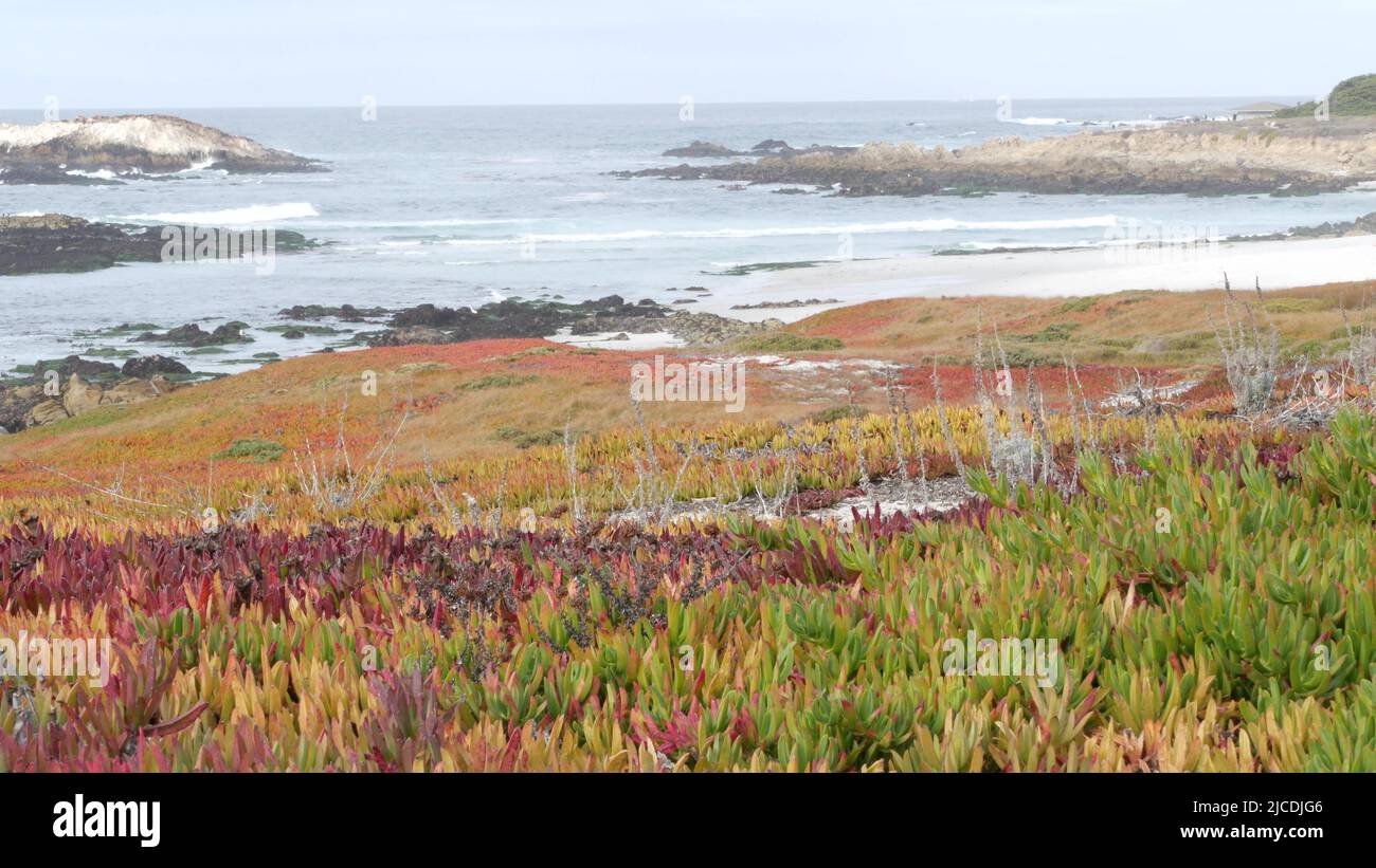 Scenic 17-mile drive, Monterey, California USA. Rocky craggy ocean, sea ...