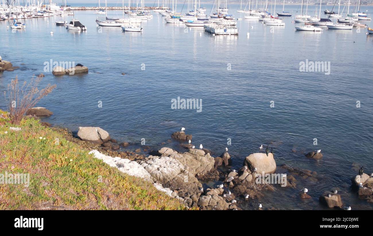 Yachts in harbor or bay, Monterey marina by Old Fishermans Wharf, quay ...