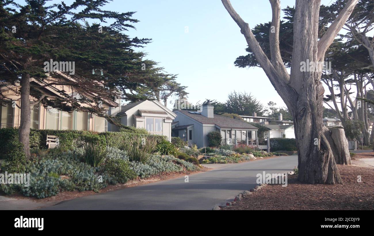 Typical suburban street, residential district, detached houses or ...
