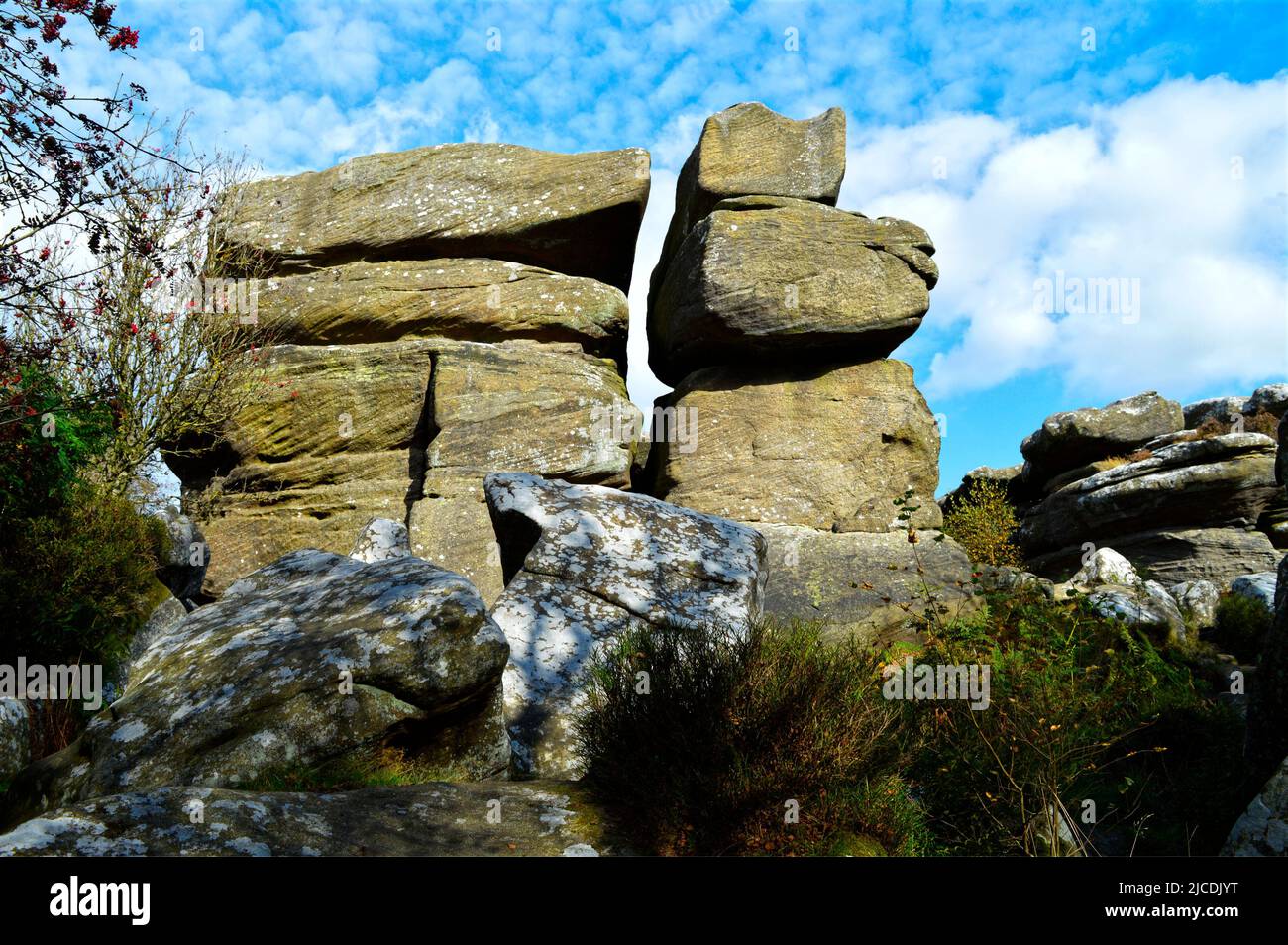 Bingham rocks is a Site of Special Scientific Interest formed over 325 ...