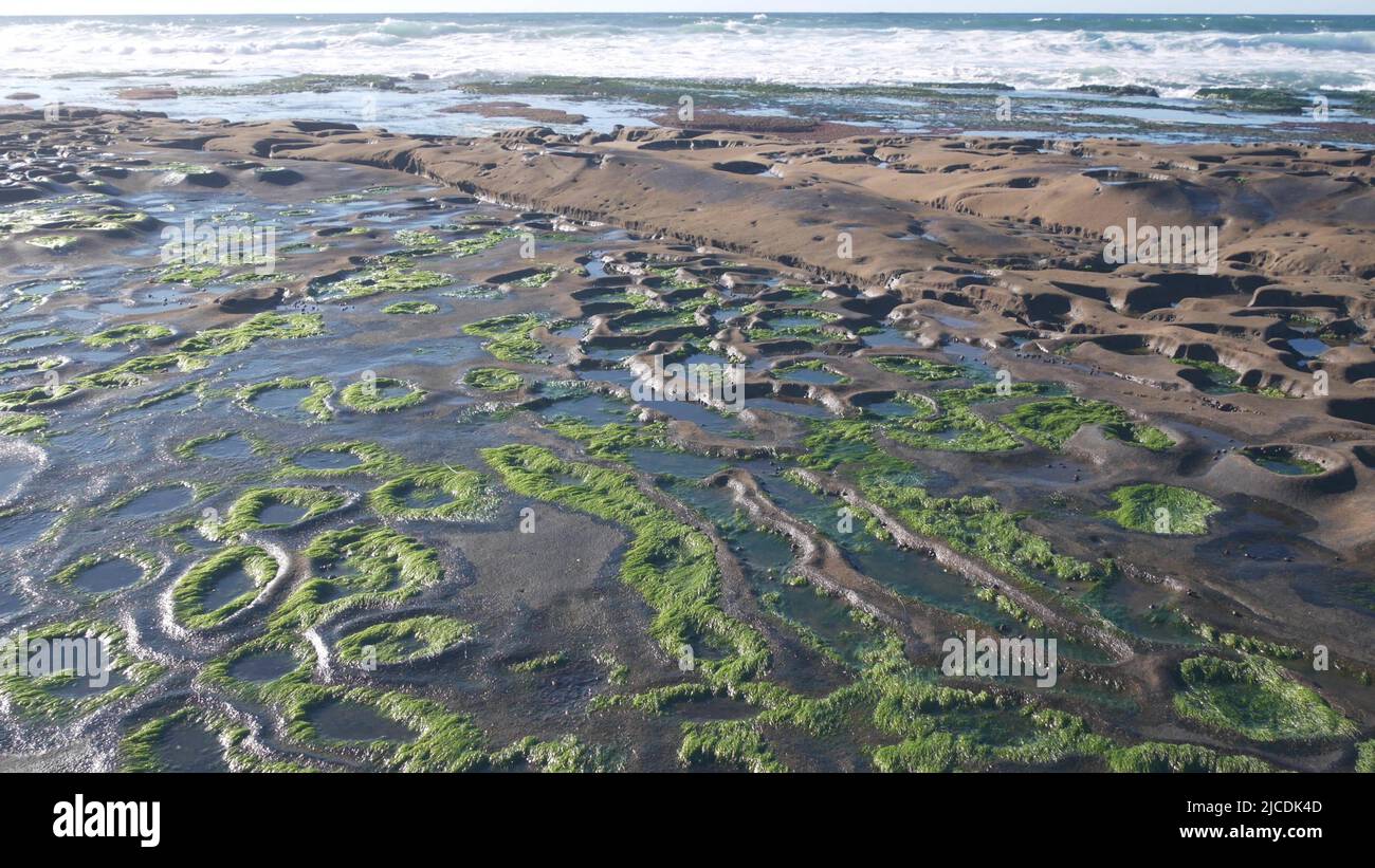 Eroded rock formation, tide pool in La Jolla, California coast, USA ...