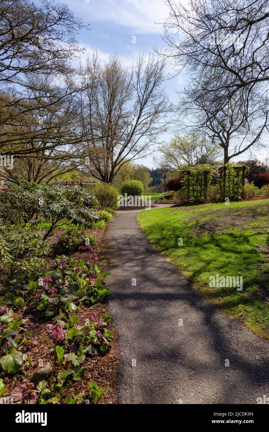 Path in a green vibrant garden with colorful flowers in a modern city ...