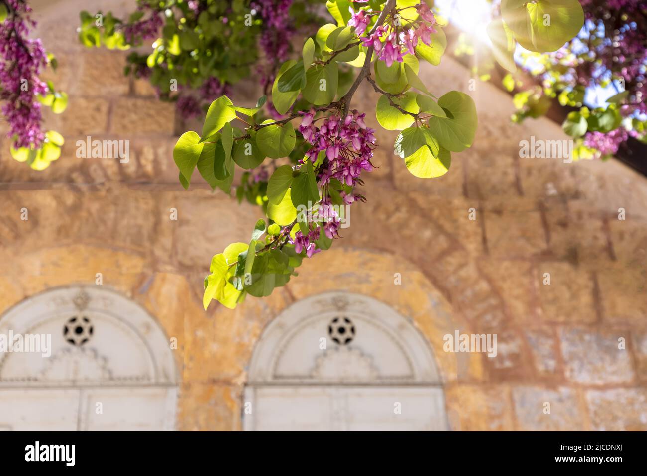Israel, Jerusalem old narrow streets of Nahlaot historic neighborhood ...