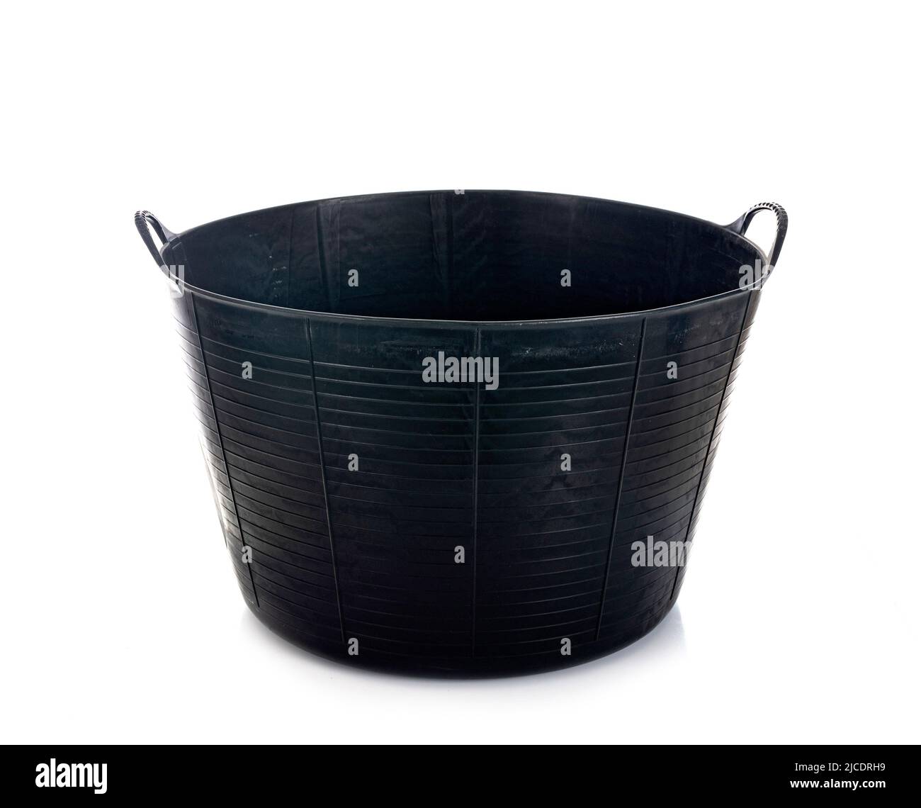 White horse drinking Cut Out Stock Images & Pictures - Alamy