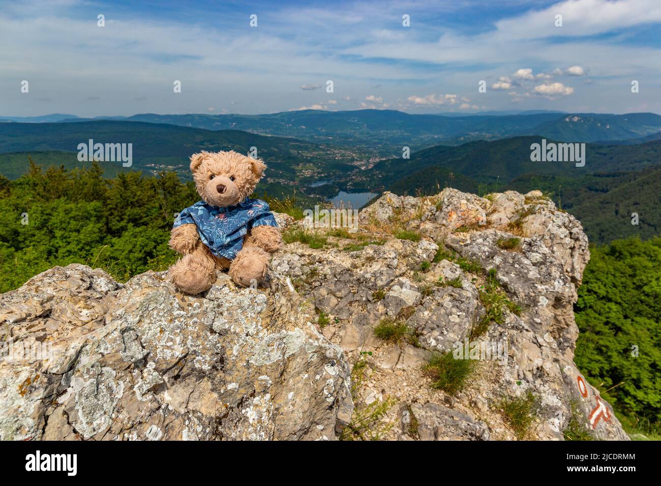 Brown bear sitting on rock hi-res stock photography and images - Alamy