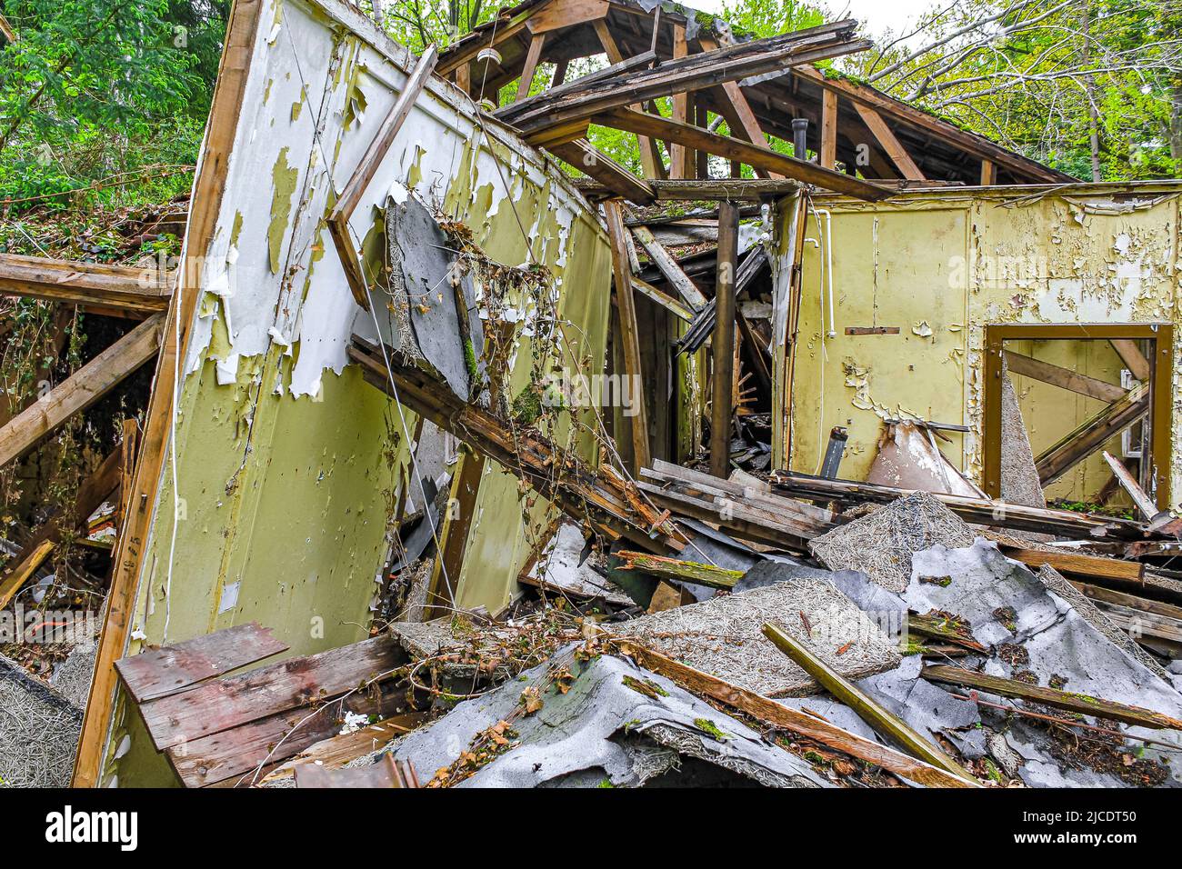Broken destroyed old house in forest with green plants trees in the ...