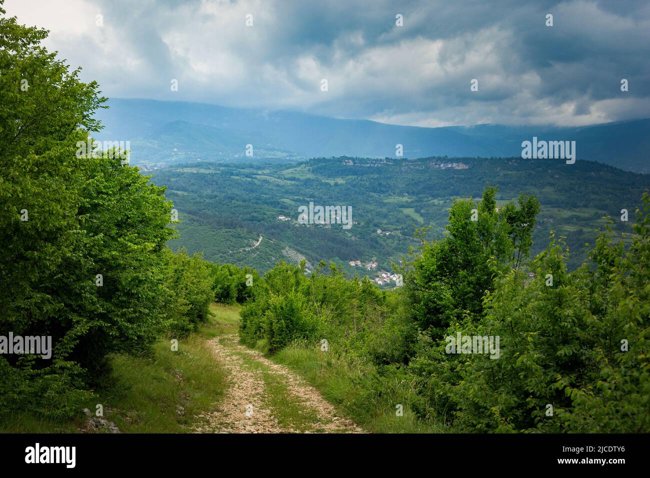 Balkan forest environment hi-res stock photography and images - Alamy