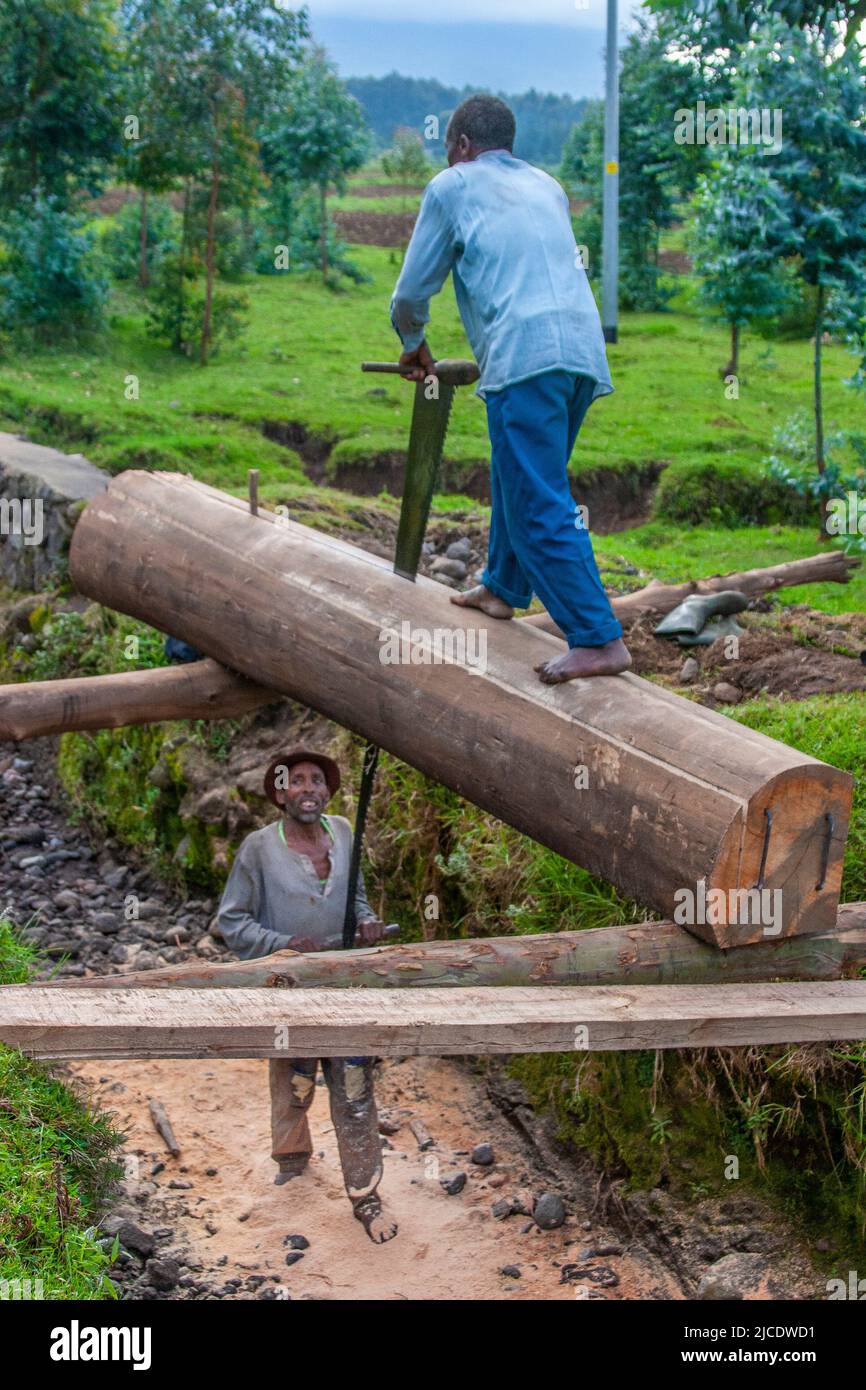 Making lumber by hand sawing logs in rural Rwanda Stock Photo Alamy