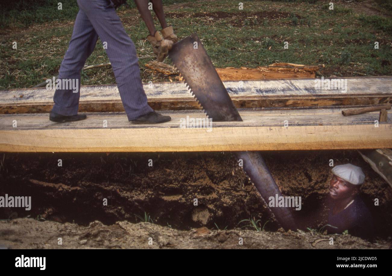 Making lumber by hand sawing logs in rural Rwanda Stock Photo - Alamy