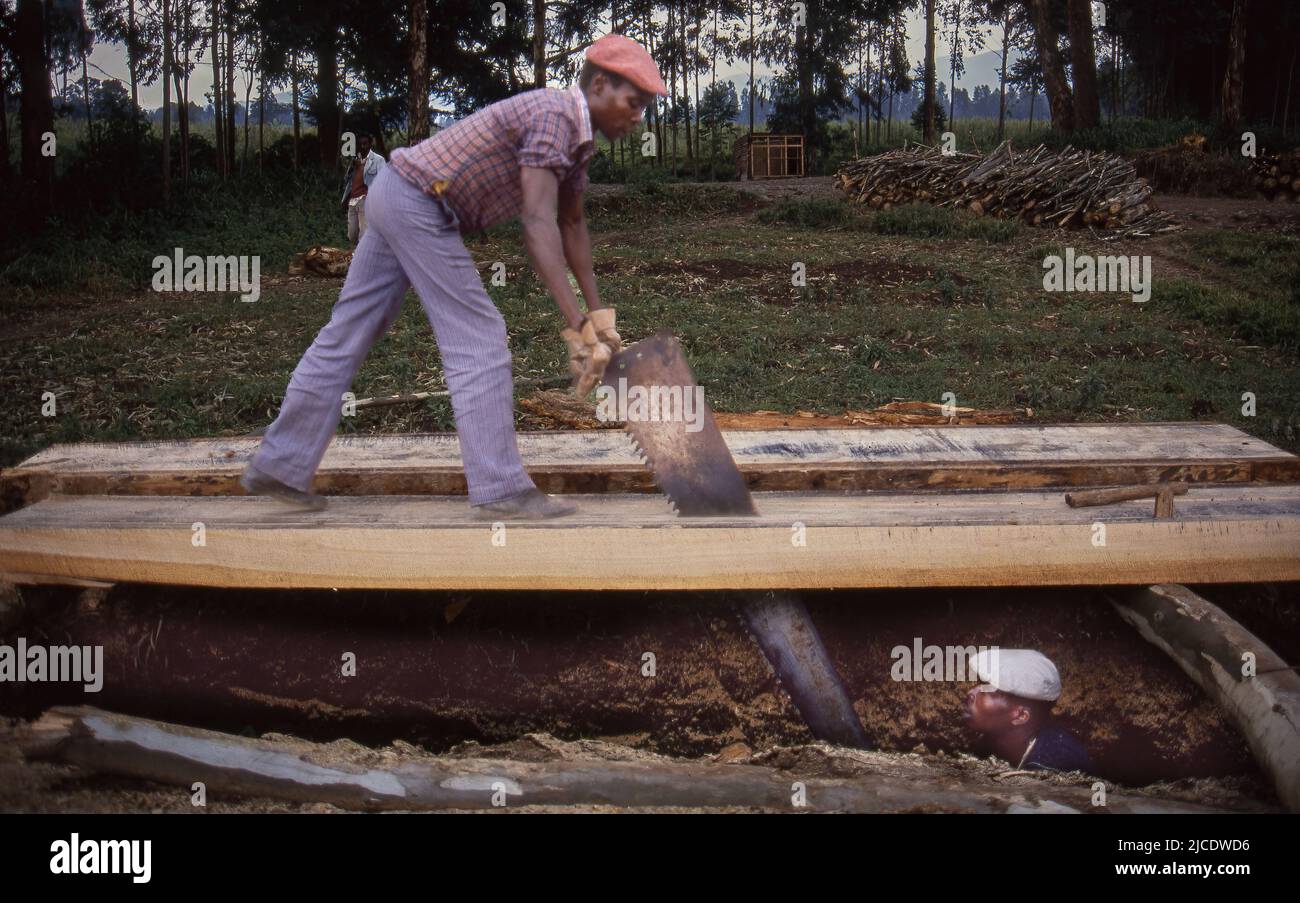 Making lumber by hand sawing logs in rural Rwanda Stock Photo - Alamy