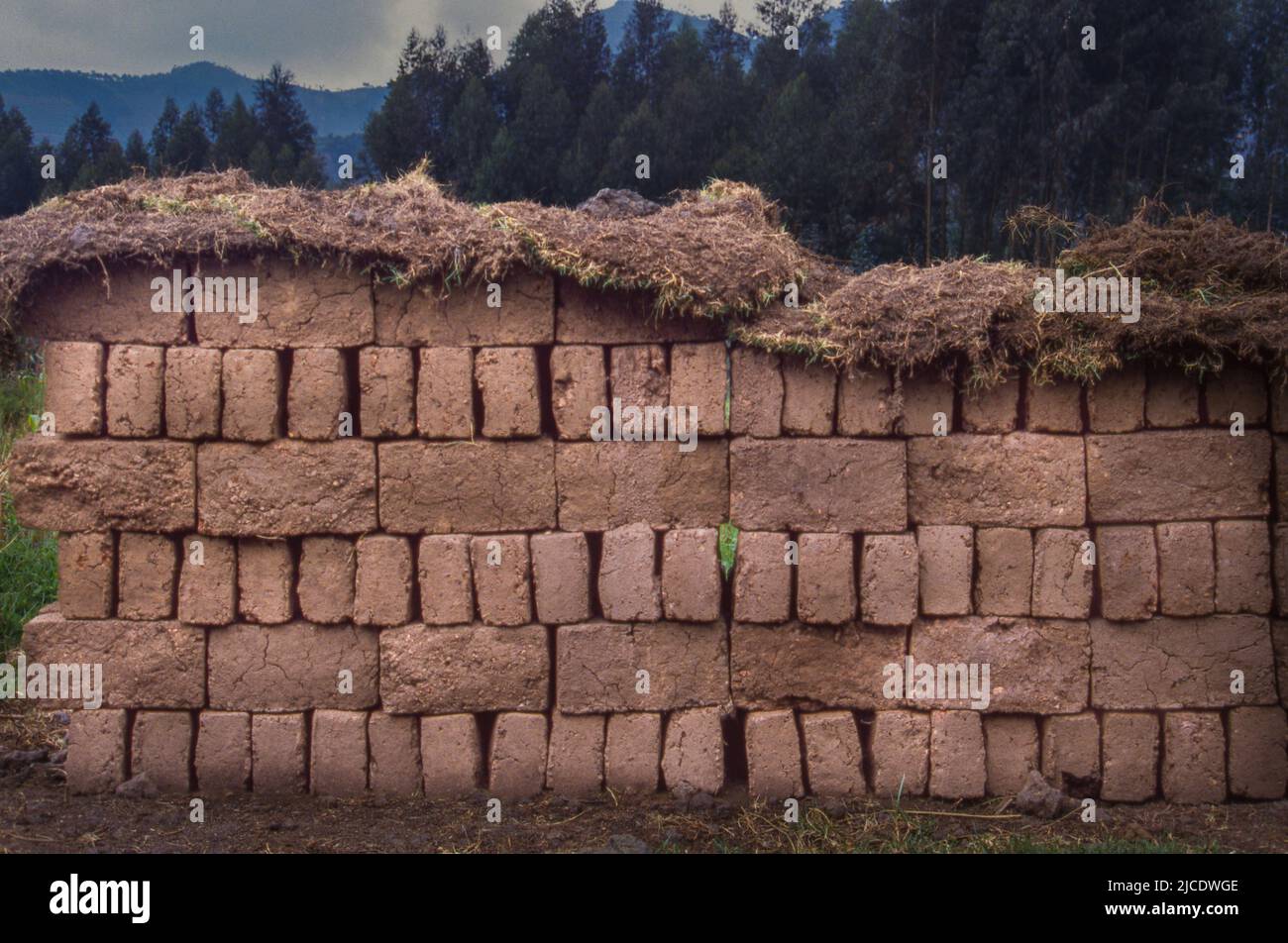 Bricks are made of red clay mixed with straw, much like adobe bricks ...