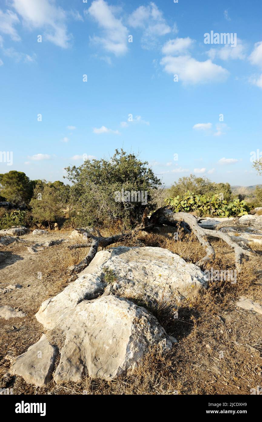 White chalk bell caves Luzit in Israel - a place of life of ancient ...