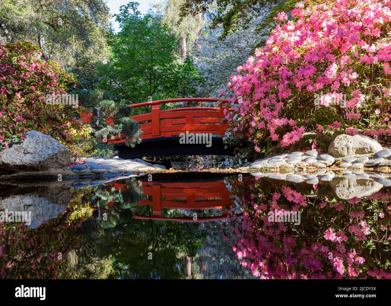 Beautiful Japanese garden at Descanso Garden, Los Angeles, California ...