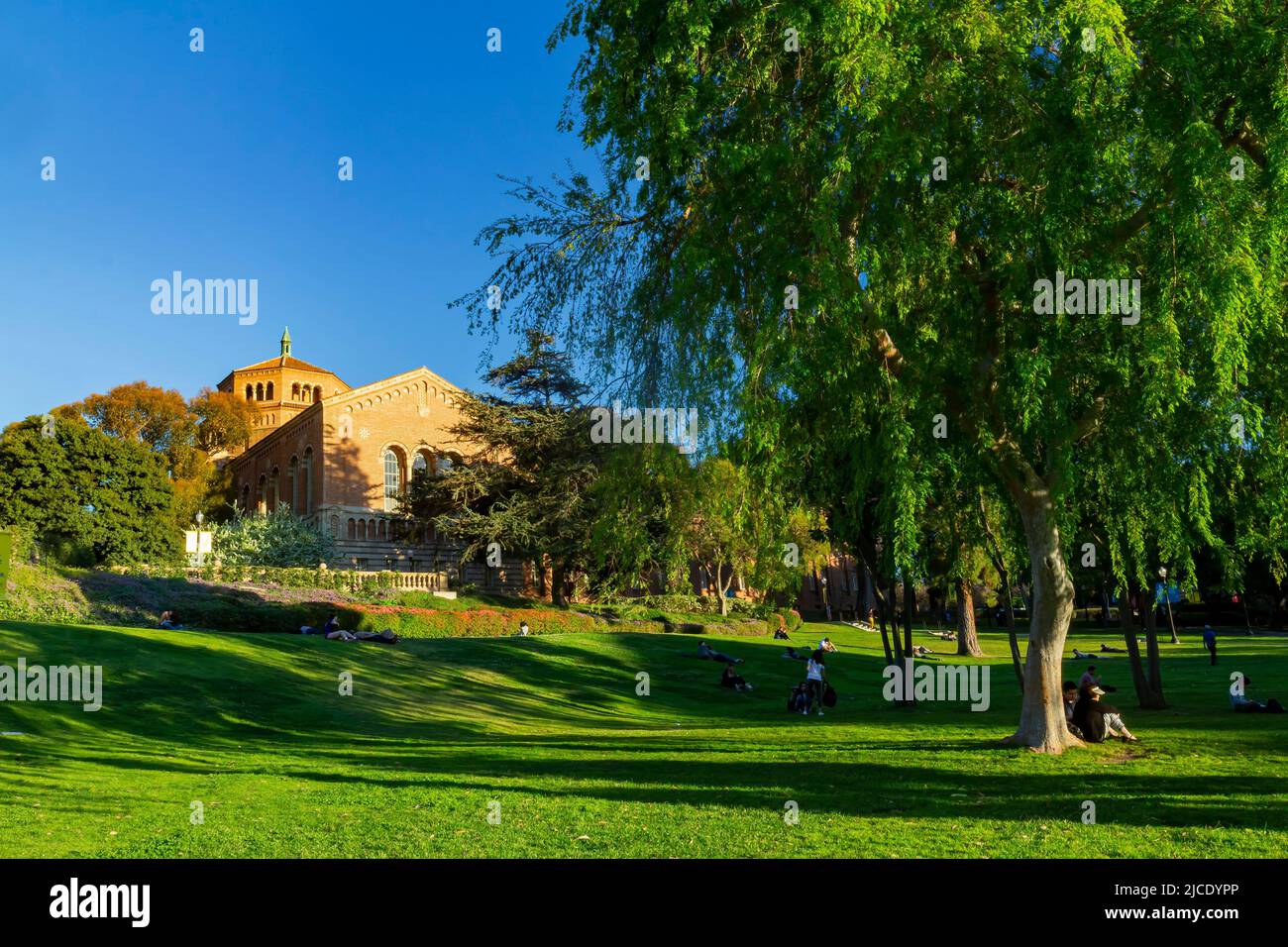 Los Angeles, FEB 11 2015 - Sunny view of the Powell Library of UCLA ...