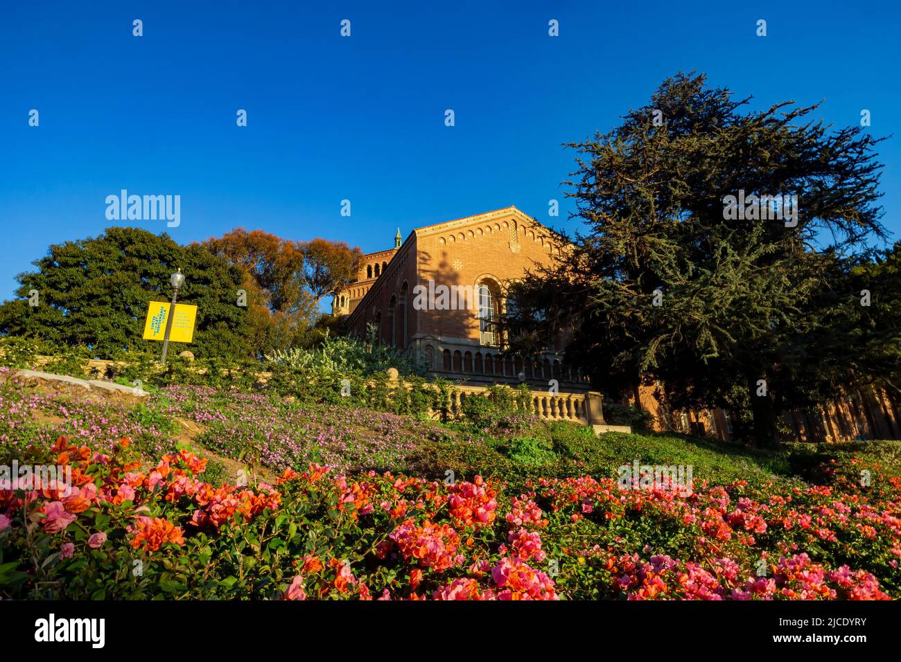 Powell library los angeles hi-res stock photography and images - Alamy