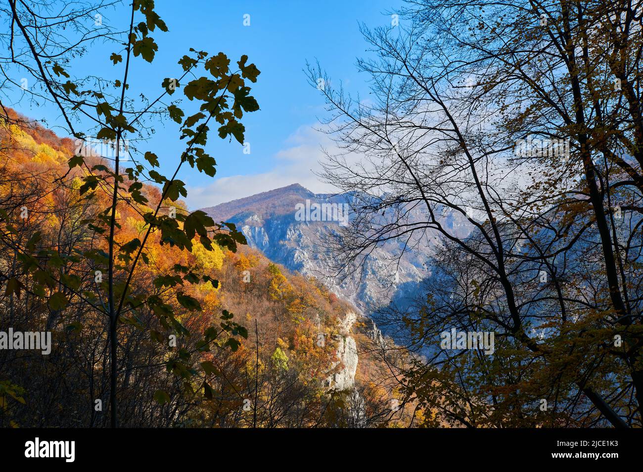 Domogled cerna hi-res stock photography and images - Alamy